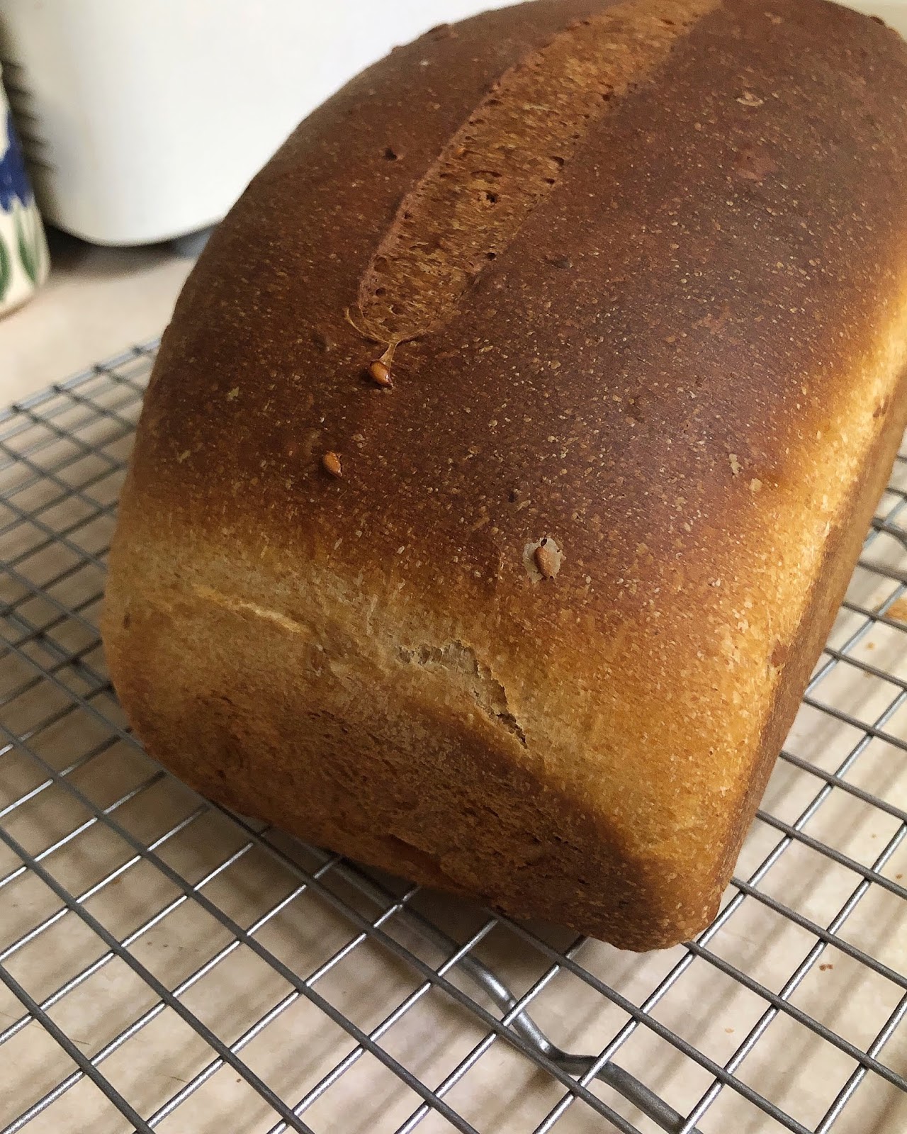Beth Fish Reads: Weekend Cooking: Baking Bread & Eating Out of the Freezer