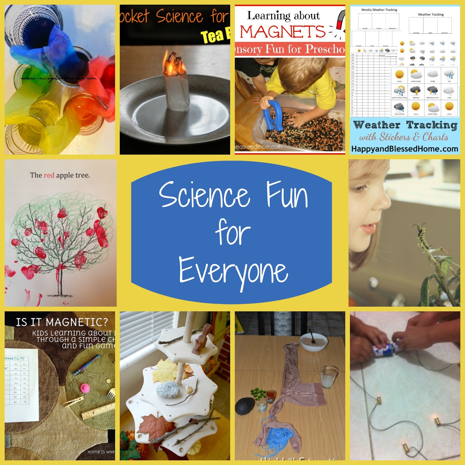 Mom's Library with Science Fun for Everyone - Life with Moore Babies