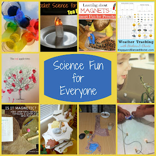 Mom's Library with Science Fun for Everyone - Life with Moore Babies