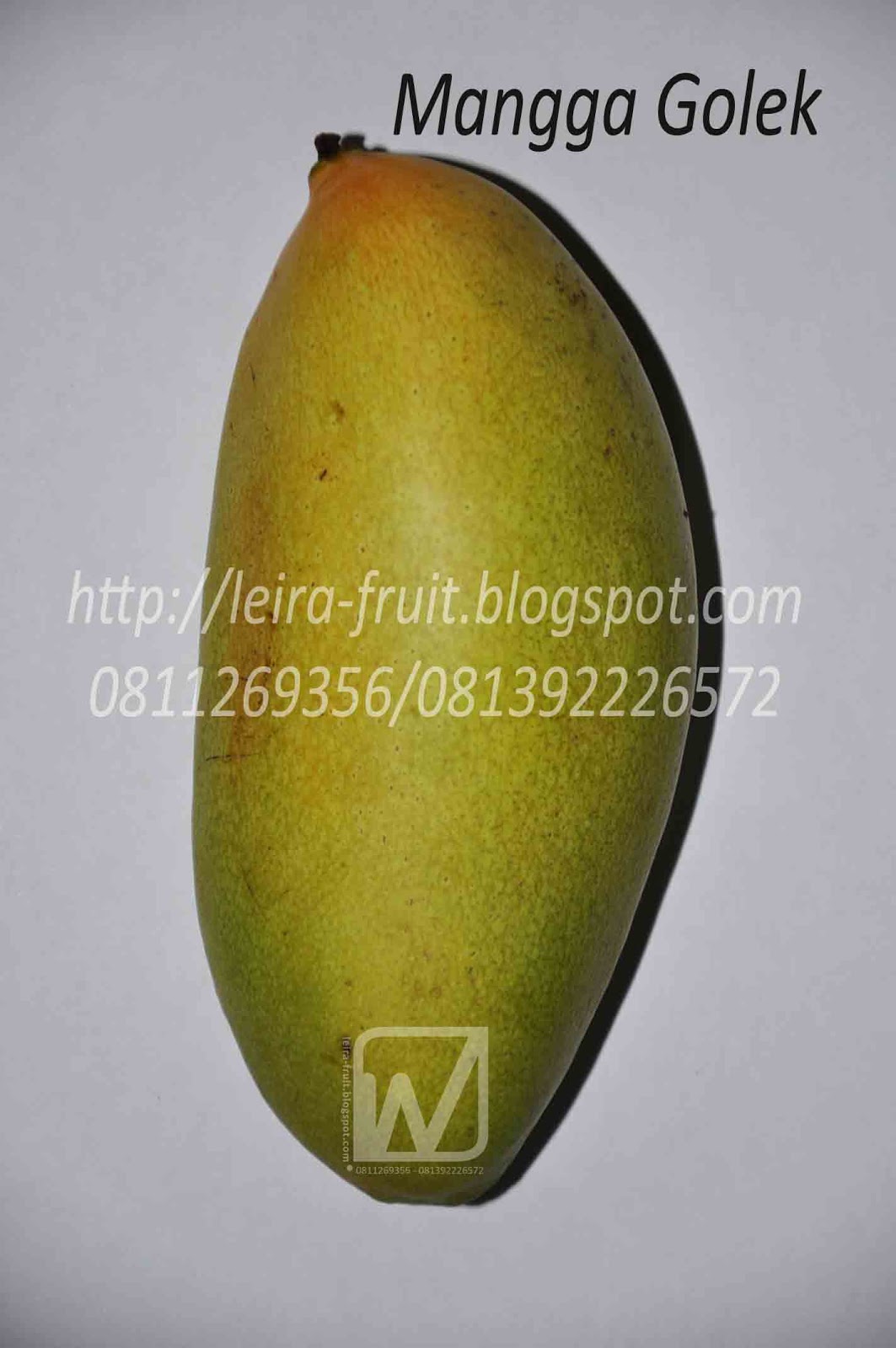 Ragam Varietas Buah Mangga Komersial ~ Leira Buah Tropis