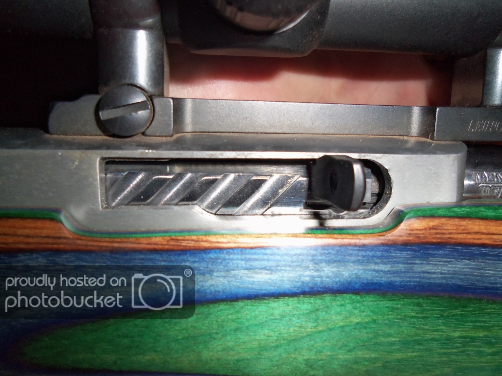 TINCANBANDIT's Gunsmithing: Ruger 10/22 Bolt Refinishing Options