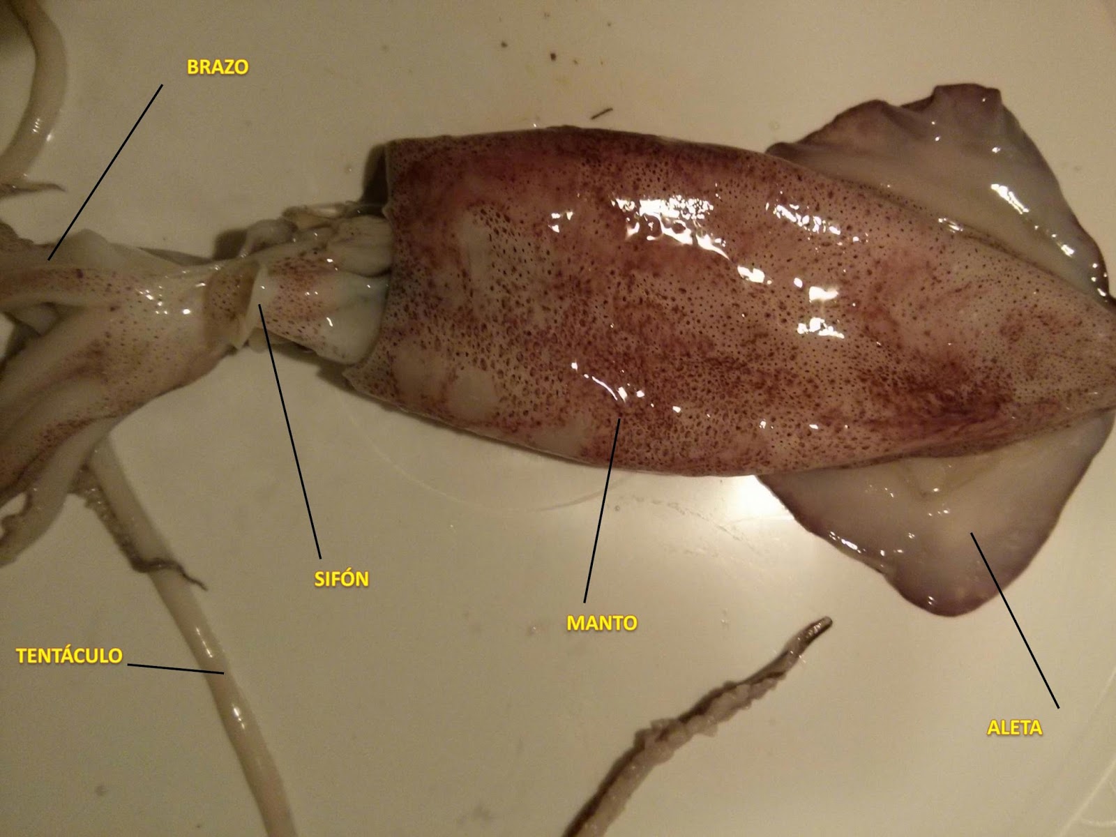 Biología y Geología : Galería fotos Laboratorio de Física y Biología