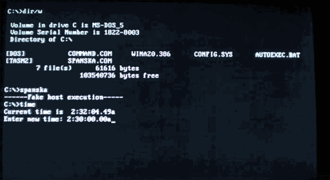 World Of Technology: Old School MS-DOS Viruses in Action (15 gifs)