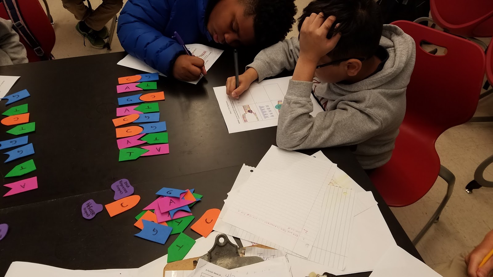 Mastering Science For Middle School Modeling Dna Replication