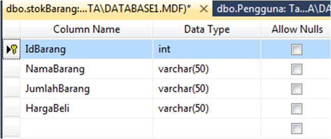 Membuat Database pada Visual Studio 2010 | vikachew09