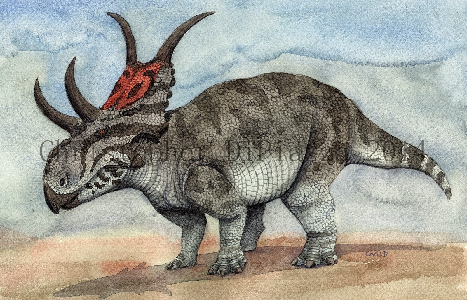 Prehistoric Beast of the Week: Diabloceratops: Prehistoric Animal of ...