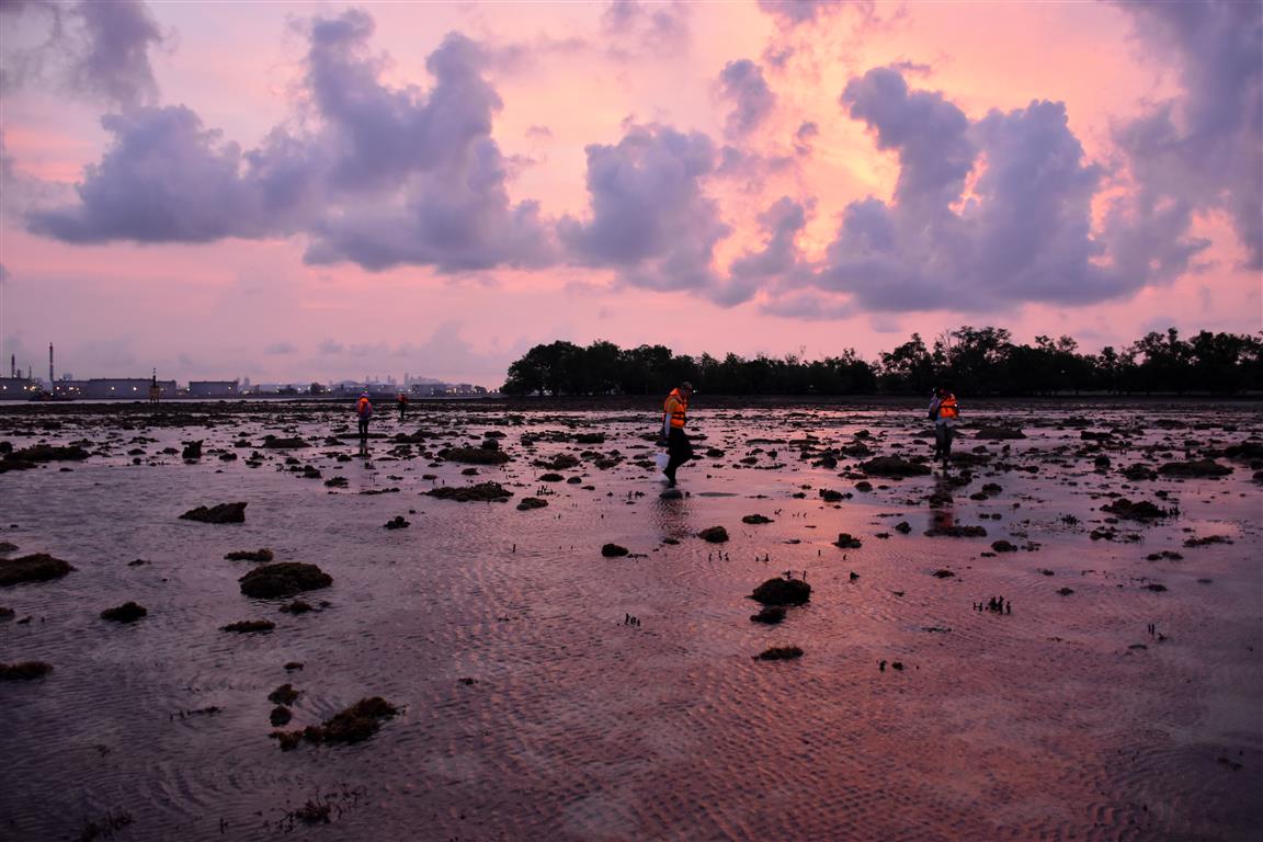 God's wonderful creation: Semakau North with Giant Clam finds