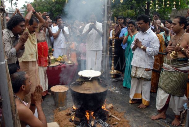 Visit Jaffna Thai Pongal In Jaffna visit-jaffna-thai-pongal-in-jaffna