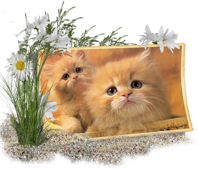 Tvoření: Obrázky PNG