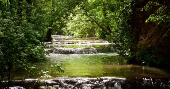 Ríos: Tipos de ríos.