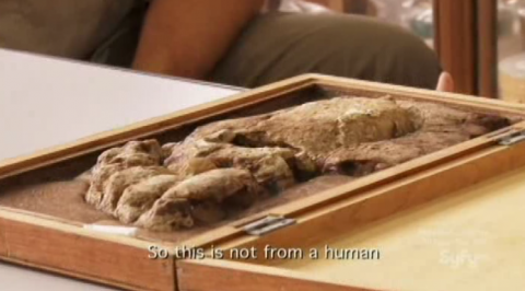 Misteri Batutut. Bigfoot dari Asia Tenggara