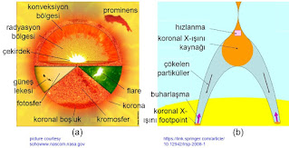 Prof. Dr. Bilsen Beşergil: Standart Solar Model (standard solar model)