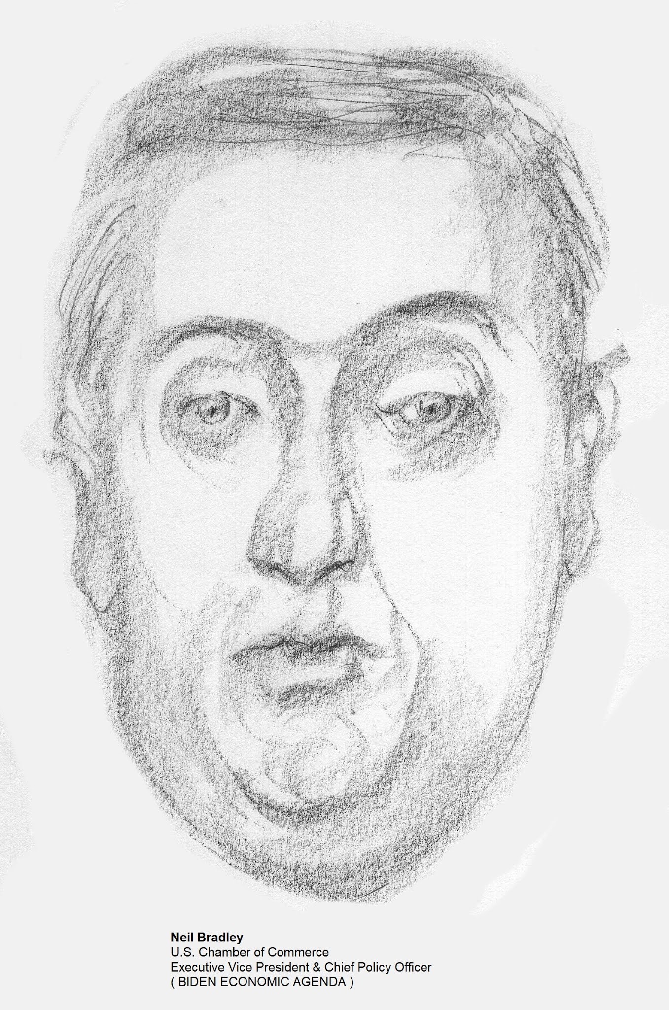 daily drawings: Neil Bradley, U.S. Chamber of Commerce, Executive Vice ...