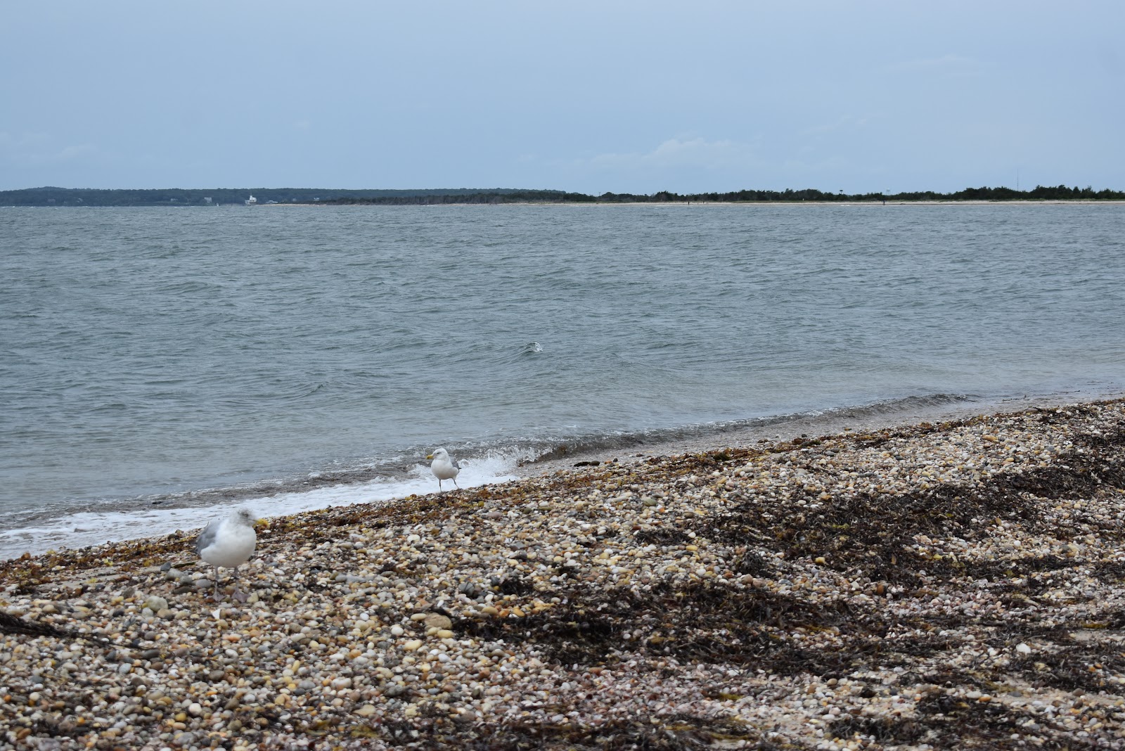 Adventures for Anyone: I'm Learning to Travel by Ferry