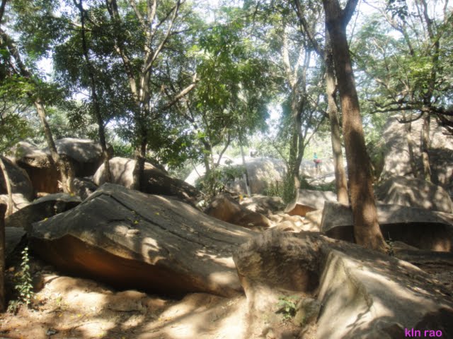 Clicks by Kln Rao and me: BUGLE ROCK GARDEN , BANGALORE.
