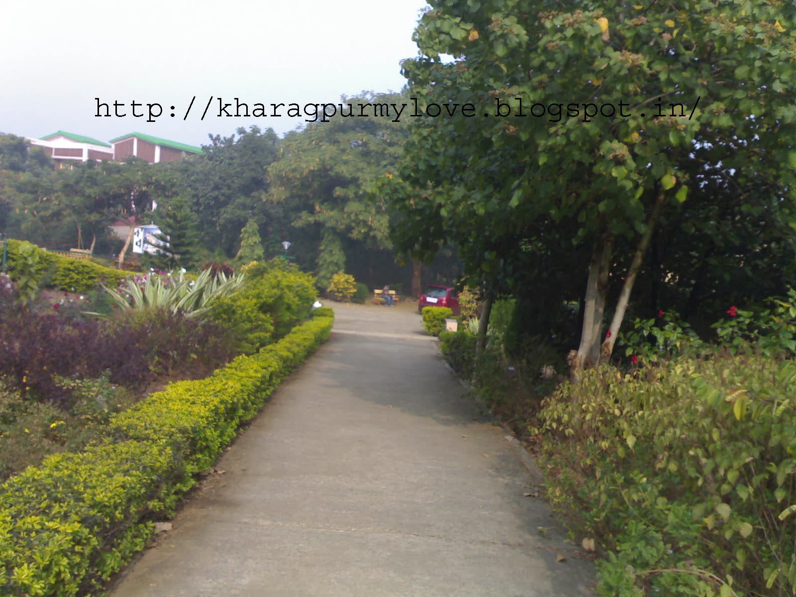 kharagpurmylove: Boronti, Muradi and Bero: Untrap natural habitat from ...