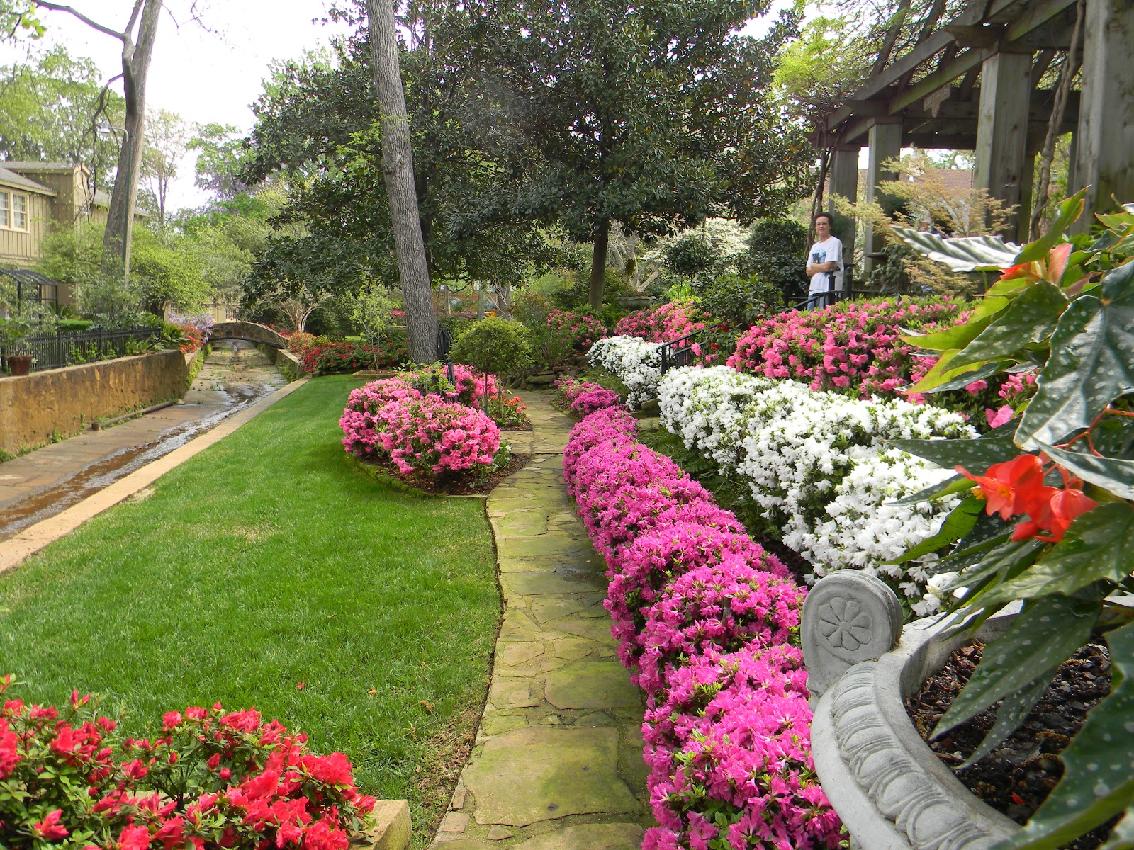 RVFulltimingLove: Tyler Azalea Trail, Tyler, Tx