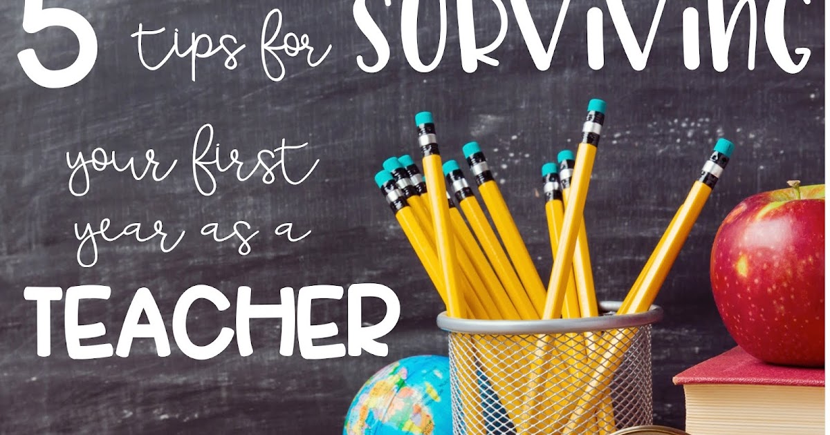5 Tips for Surviving Your First Year as a Teacher - Hippo Hooray for ...