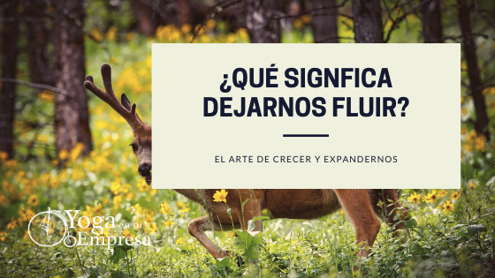 ¿Qué significa expandirnos y fluir?