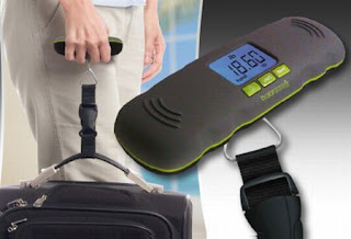 SPRING 2011CTN: STEVE & PAT'S CHEAP TRAVEL NEWSLETTER - SPRING 2011