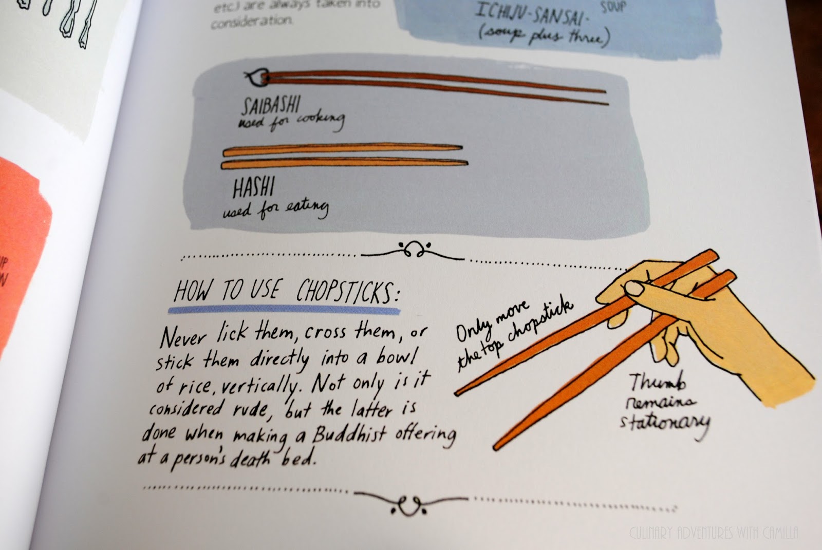 Food Anatomy: The Curious Parts & Pieces of Our Edible World for Foodie ...