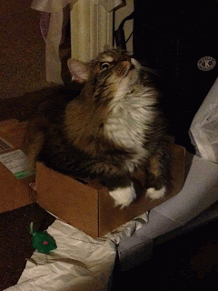 Unstoppable Force, Immovable Object