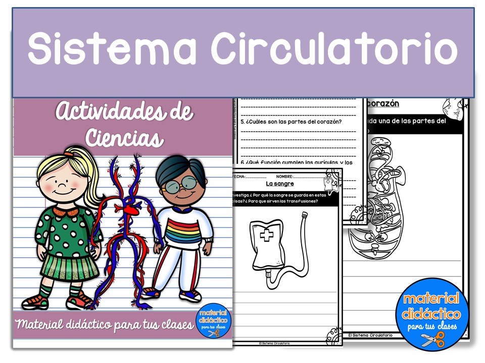 El Sistema Circulatorio - Material Didactico para tus clases