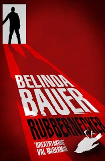 The Little Reader Library: Rubbernecker - Belinda Bauer