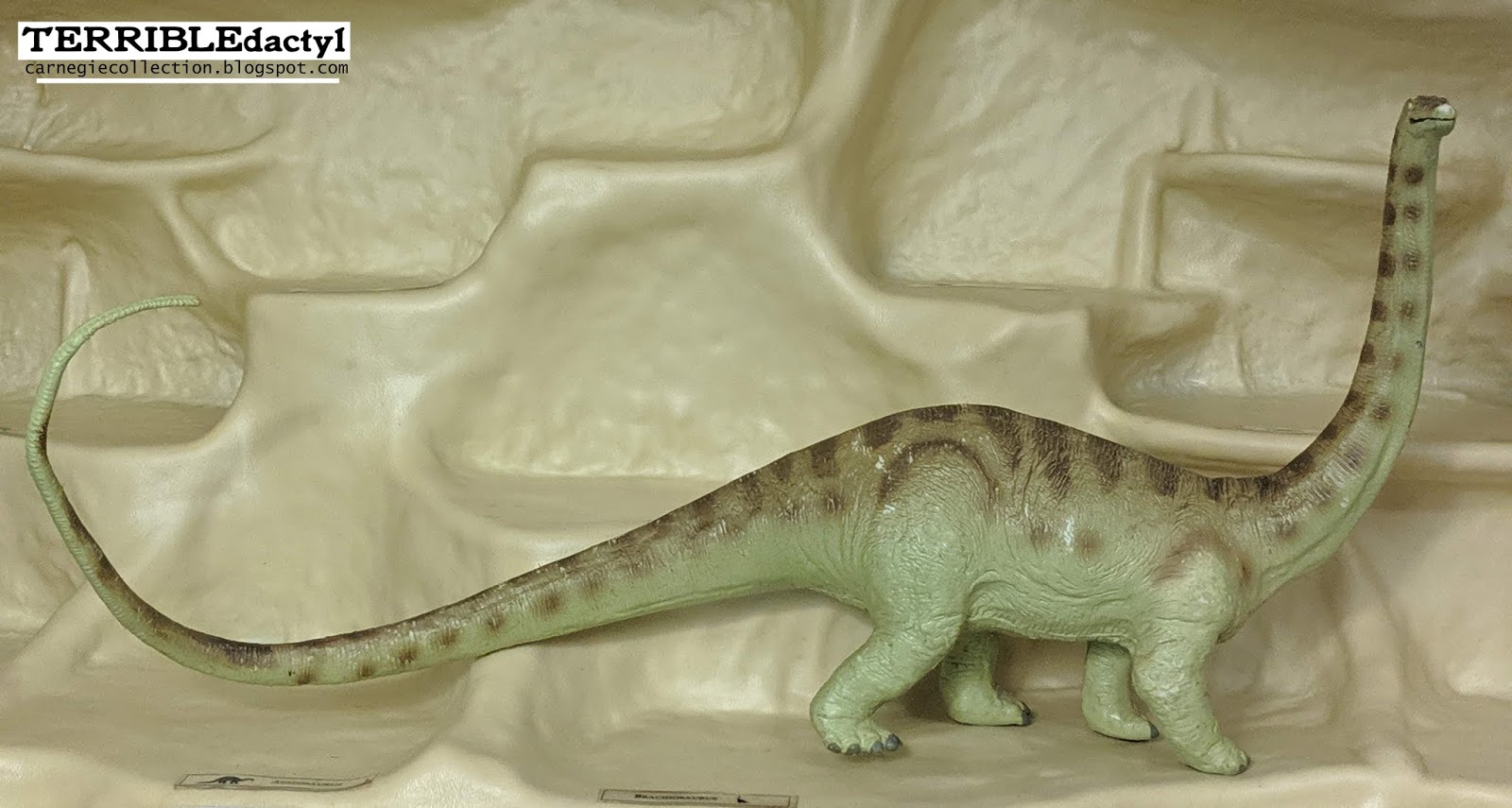 The Carnegie Collection Diplodocus (1989)