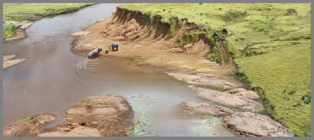 Third Eye Pictures: For Animation