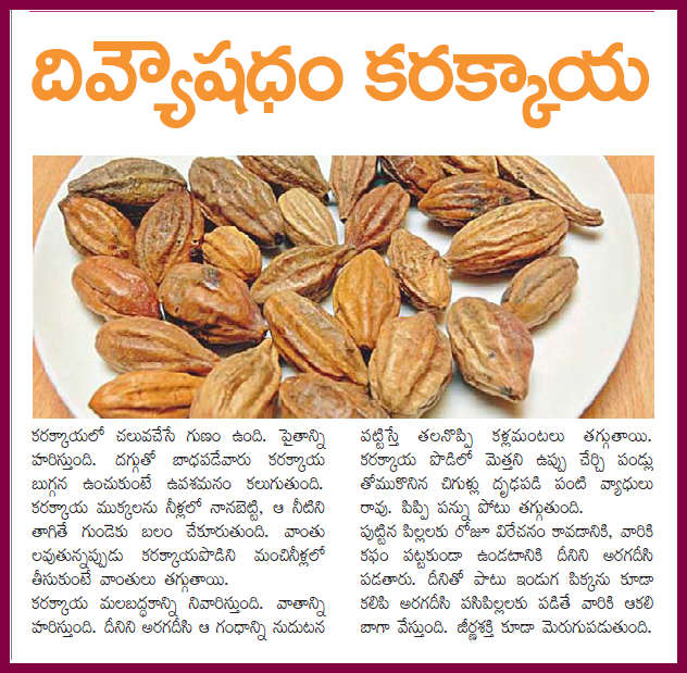 TELUGU WEB WORLD: KARAKAYA - BEST MEDICINAL VALUES - CHECKS COUGH ...