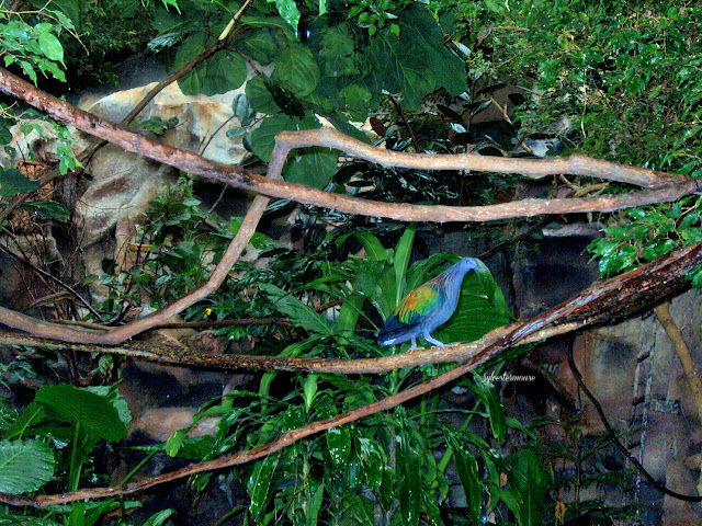 The Memphis Zoo Review