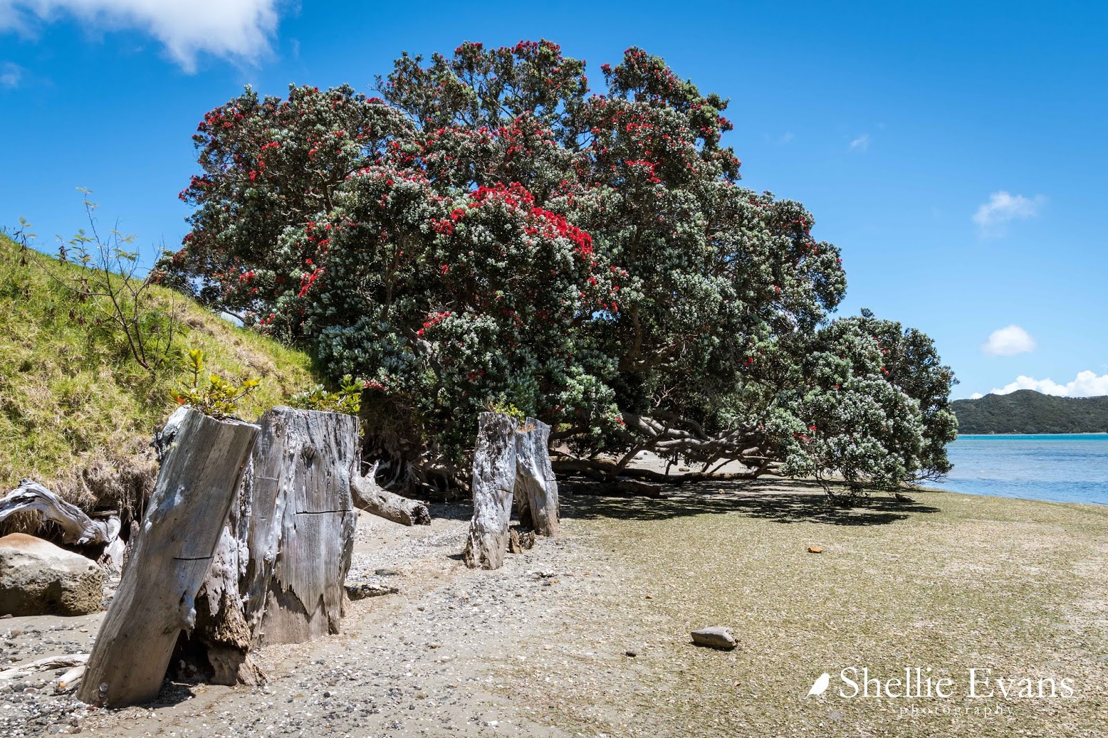 Two Go Tiki Touring: History at Houhora Heads