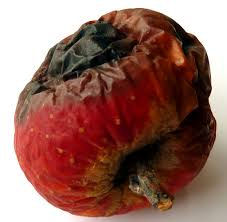 Jossszzzzz formerly known as Lief Leeuwtje: rotte appels zijn er ook --2