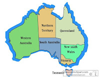 aromatherapy at Nature's Gift: Aussie Oils ONE - Kunzea ambigua