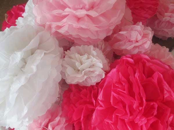 The Bumbling Bee: Party decorations - giant tissue paper flowers...