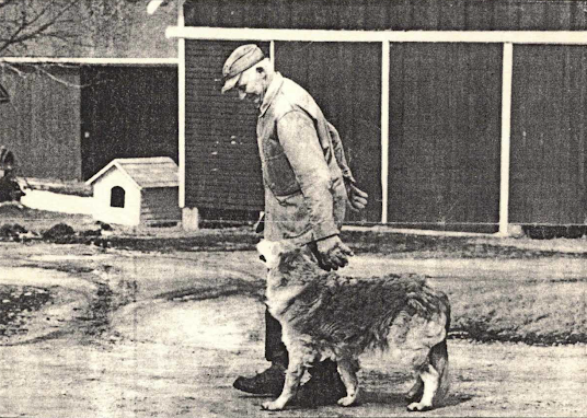 Matt's Old Mokena: Where Cattle Crossed: A History of the McGovney ...