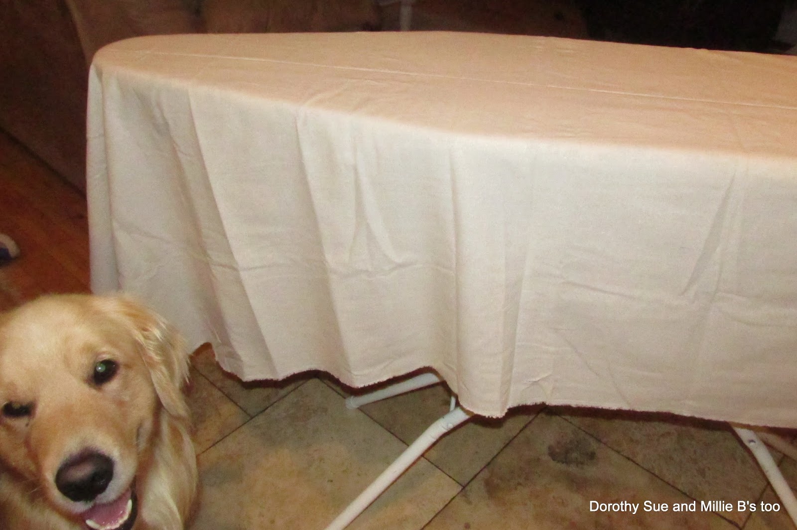 Dorothy Sue and Millie B's too: No Sew Burlap & Muslin Table Runner