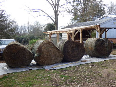 5 Acres & A Dream: Soil Building Experiment #3: Hay Growing