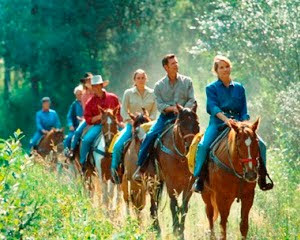 Horses for pleasure riding: Your first trail ride - What should you expect