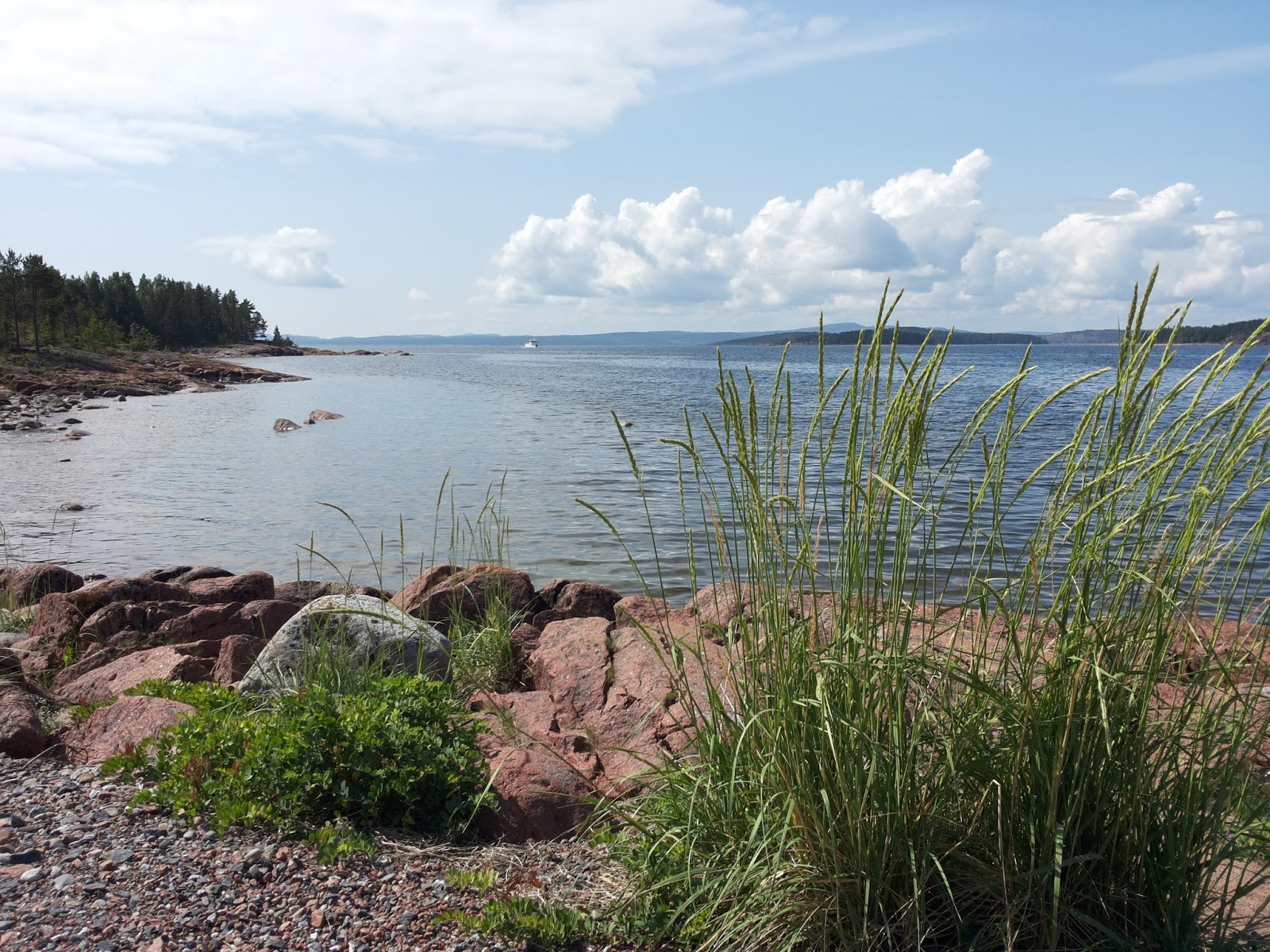 Sobra tankar från Rosie: Sommarbilder...