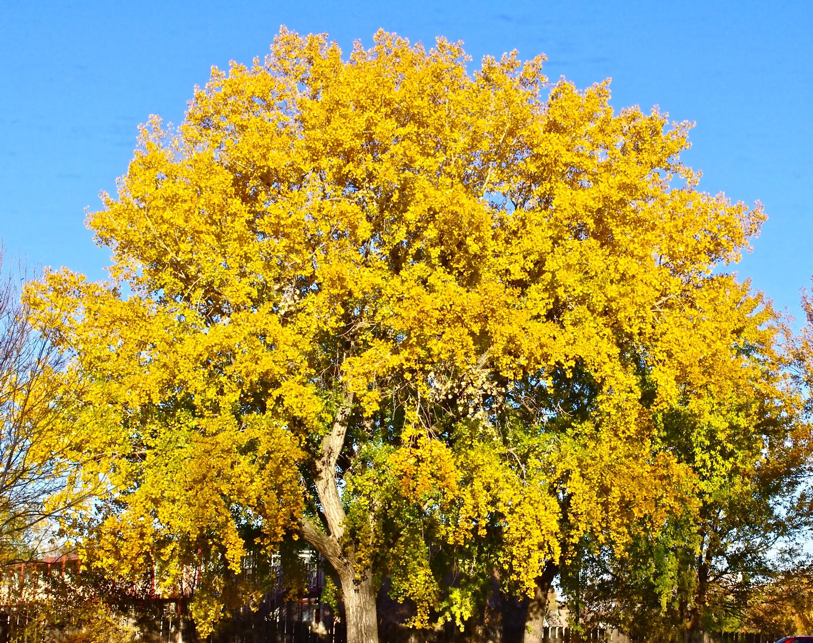 Champagne Wishes and RV Dreams: A Quick Trip Through Nebraska!