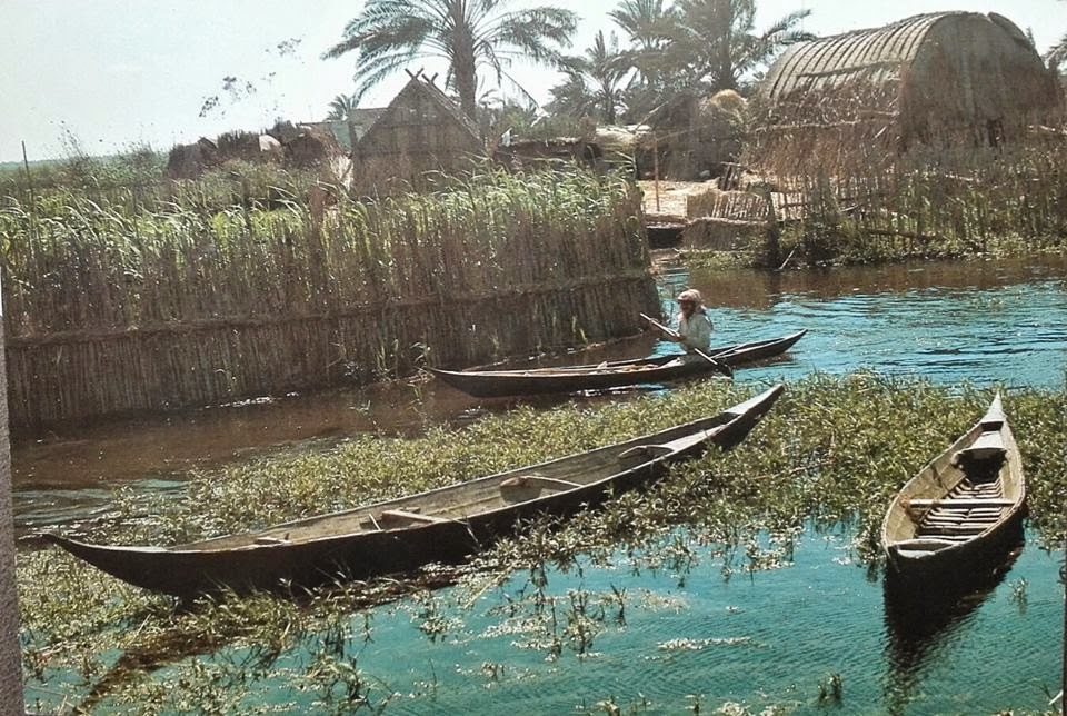 Postcard Traveller: Iraq - Al-Hammar Marshes (Lagoon) - Unesco The ...