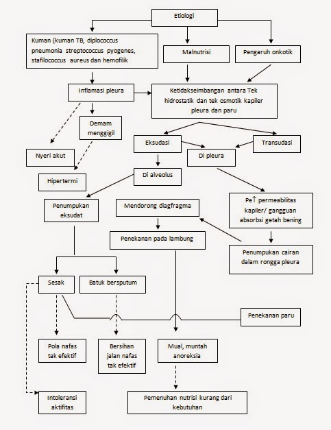 Patofisiologi disentri amoeba pdf - daxmost