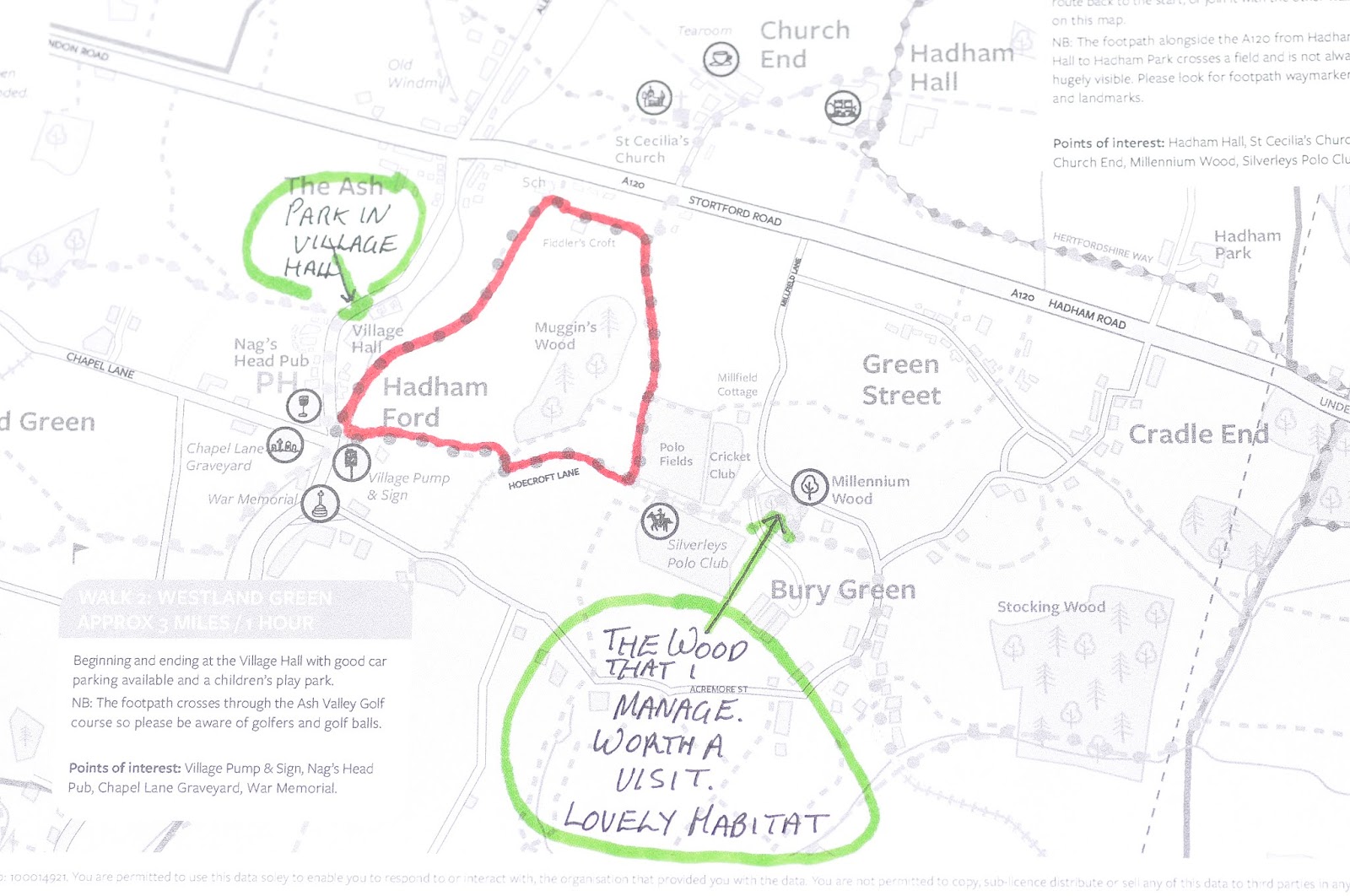Little Hadham Birding: Local Walk 3 Little Hadham area