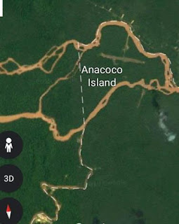 La Peste Loca: La isla de Anacoco