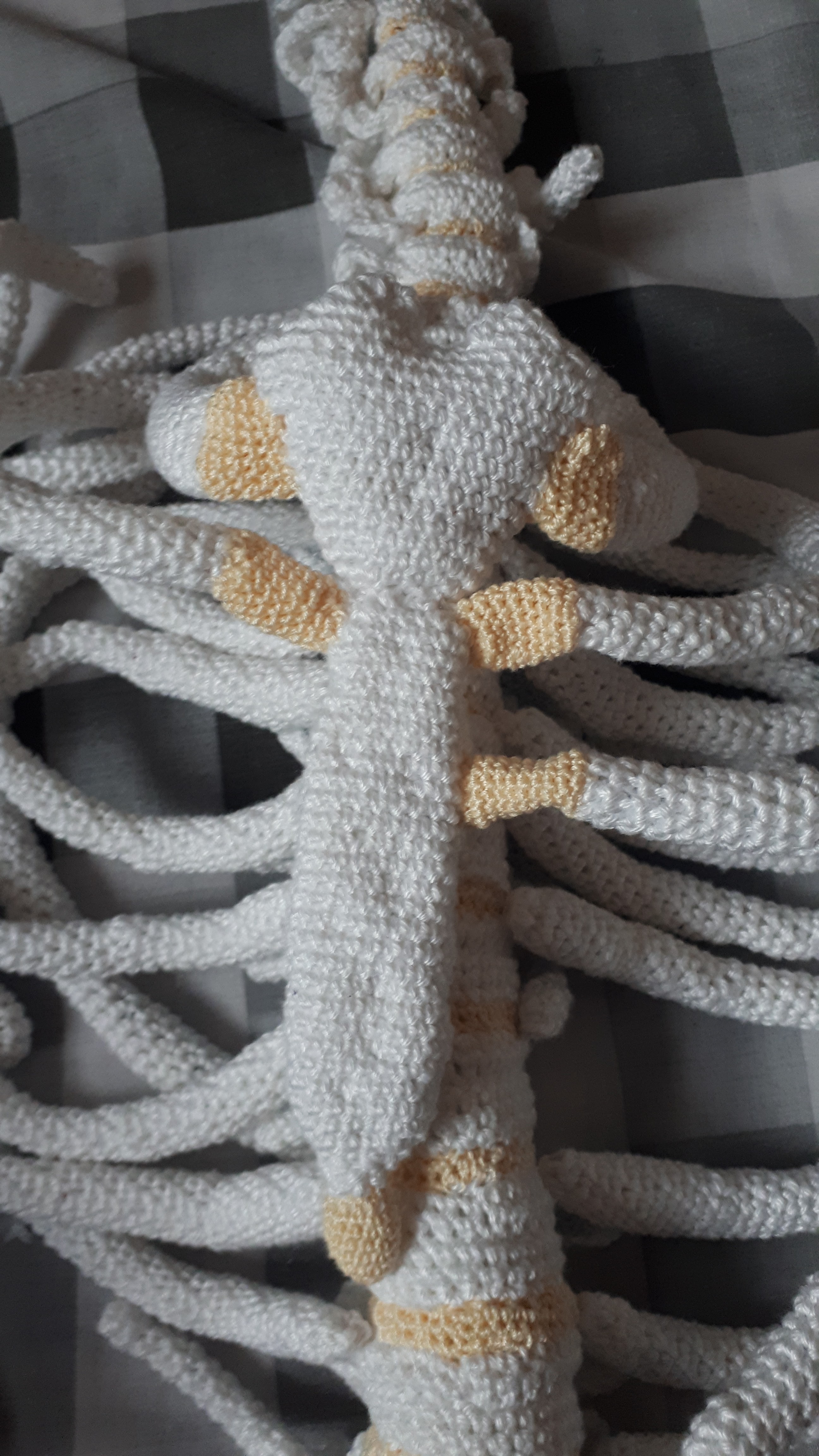 Adventures into Anatomical Crochet: Assembling ribs, spine, and sternum