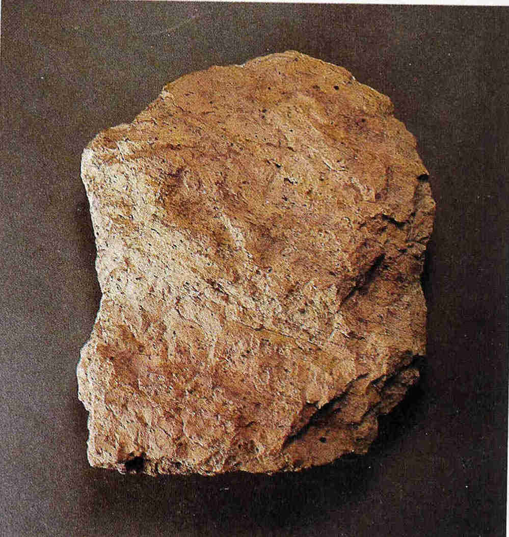 A la palestra : ROCA ÍGNEA VOLCÁNICA - RIOLITA