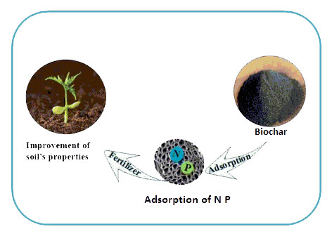 Uses of biochar in agriculture