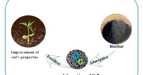 Uses of biochar in agriculture